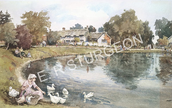 Ashmore, Dorset – Sturgeon Publications